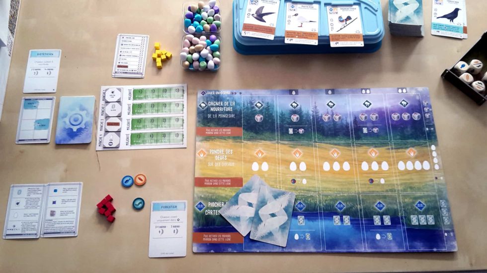 Découverte - Wingspan - Rocambole